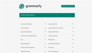 Why Is Grammarly Not Working? Causes & Solutions Explained